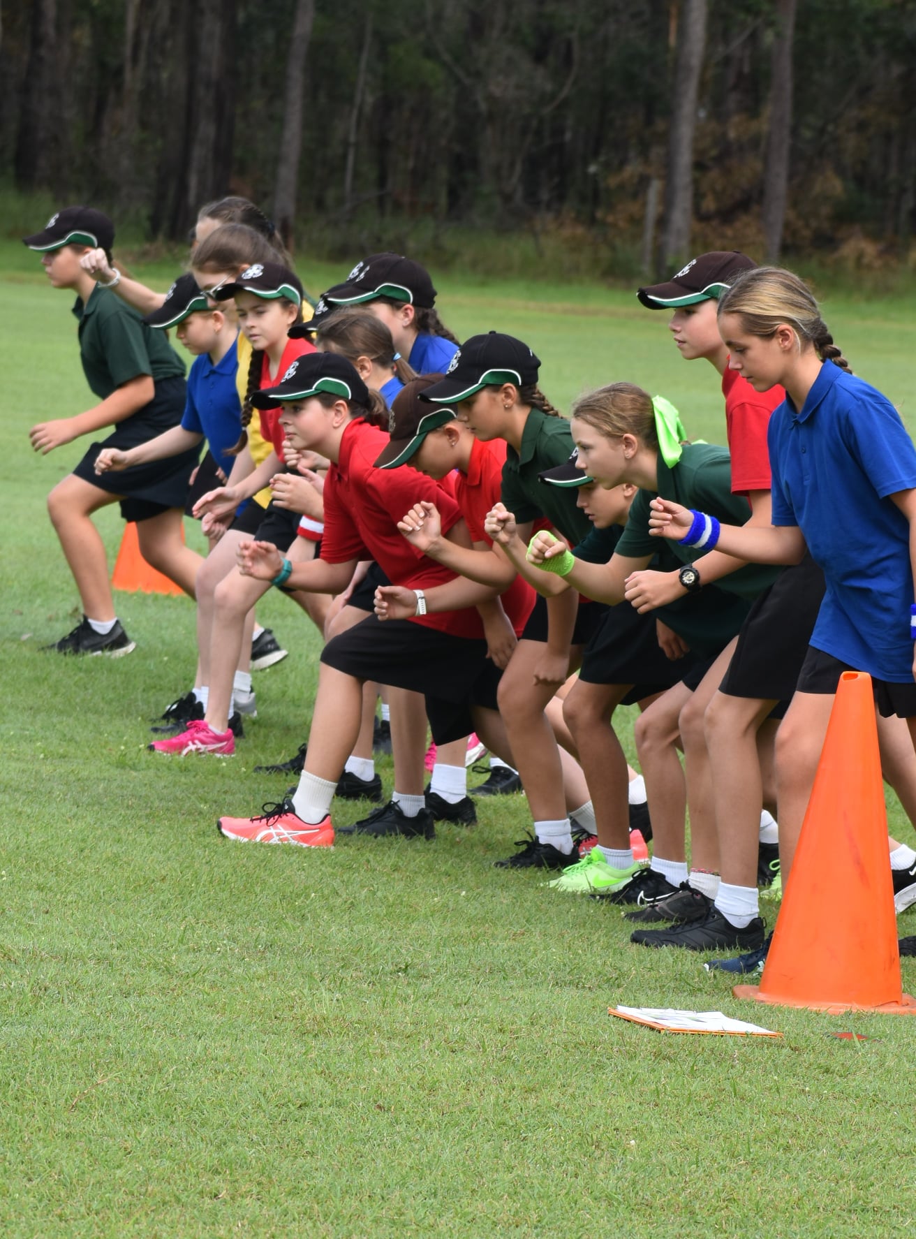 Senior Cross Country