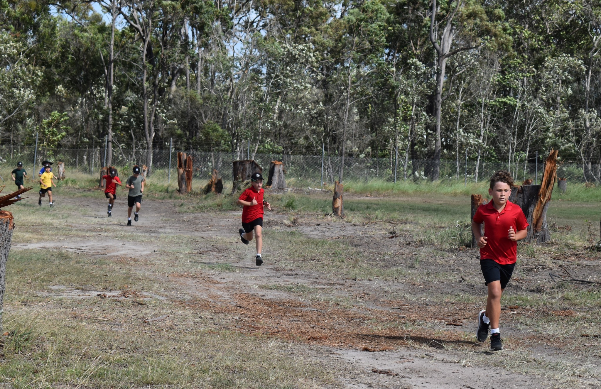 Senior Cross Country